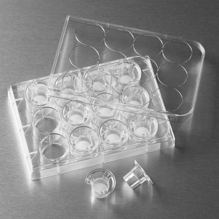 12井12mm Transwell, 3.0µm聚碳酸酯膜插入，Corning - Appleton Woods Limited亚搏体育安卓 ...